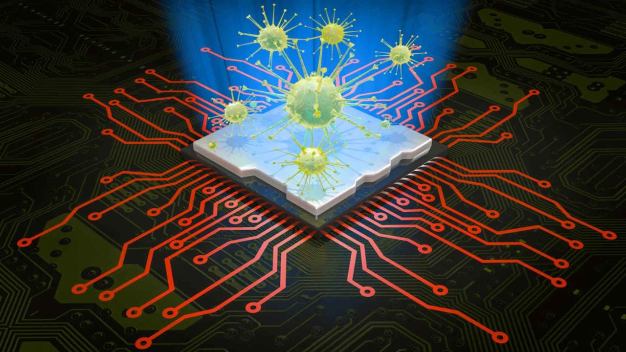 Worm: cosa sono, come funzionano, i più famosi e come rimuoverli ...