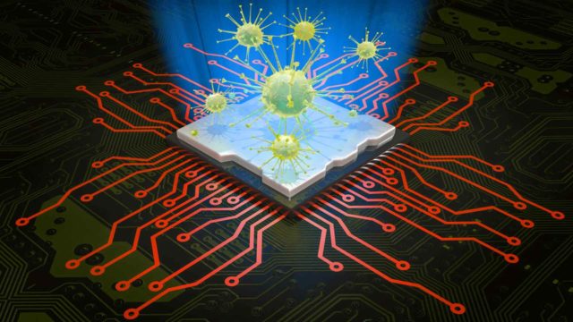 Worm: cosa sono, come funzionano, i più famosi e come rimuoverli ...