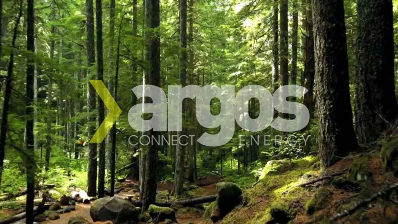 Attacco ransomware contro Argos SpA: cosa sappiamo e quali le possibili ...