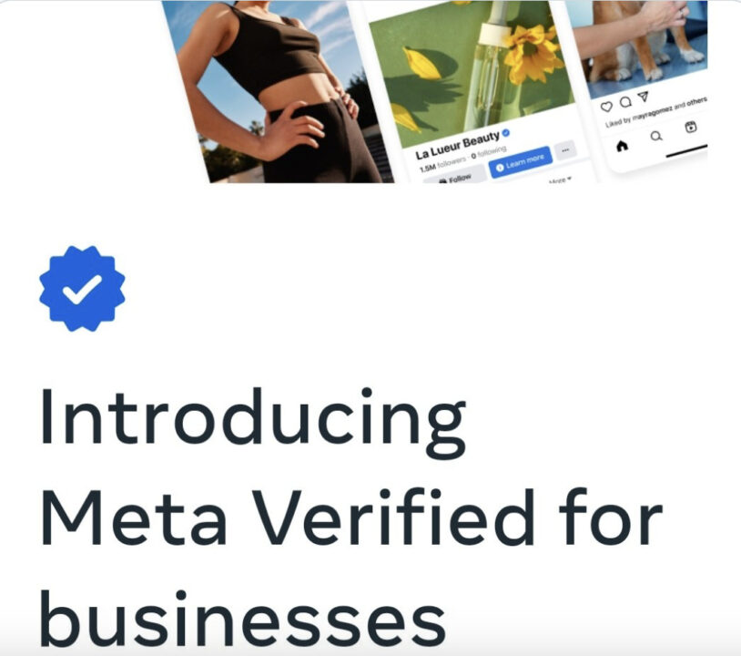 Meta Verified: su WhatsApp arrivano il badge blu e più privacy per le ...
